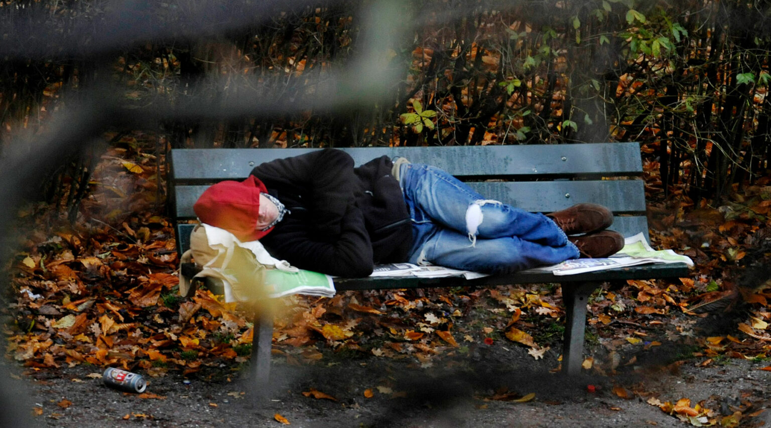 Krönikor-arkiv - Fokus