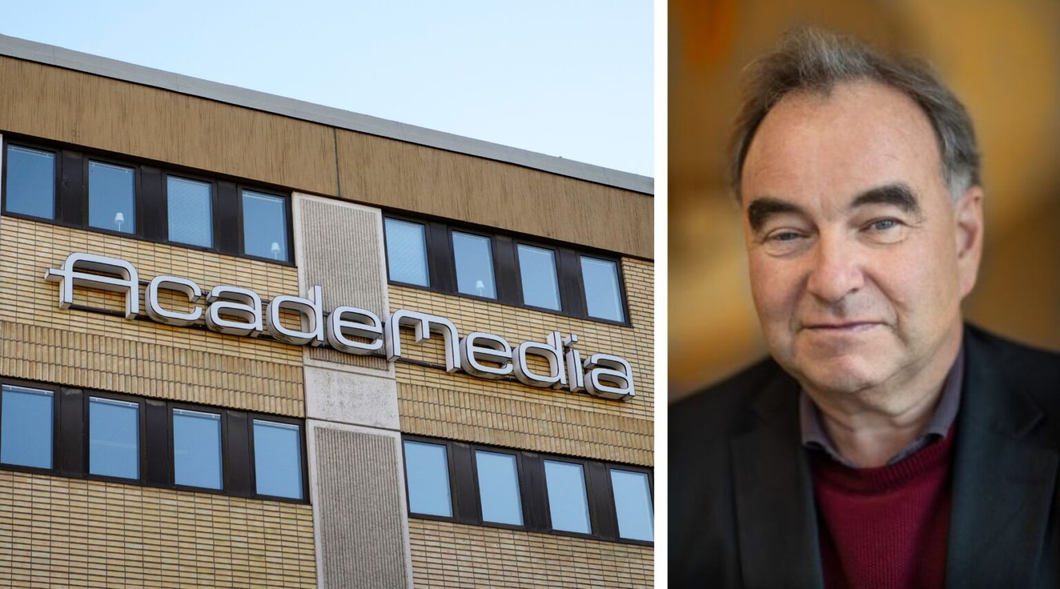 Bo Rothstein: Hallå borgare, sov ni på lektionen? - Fokus