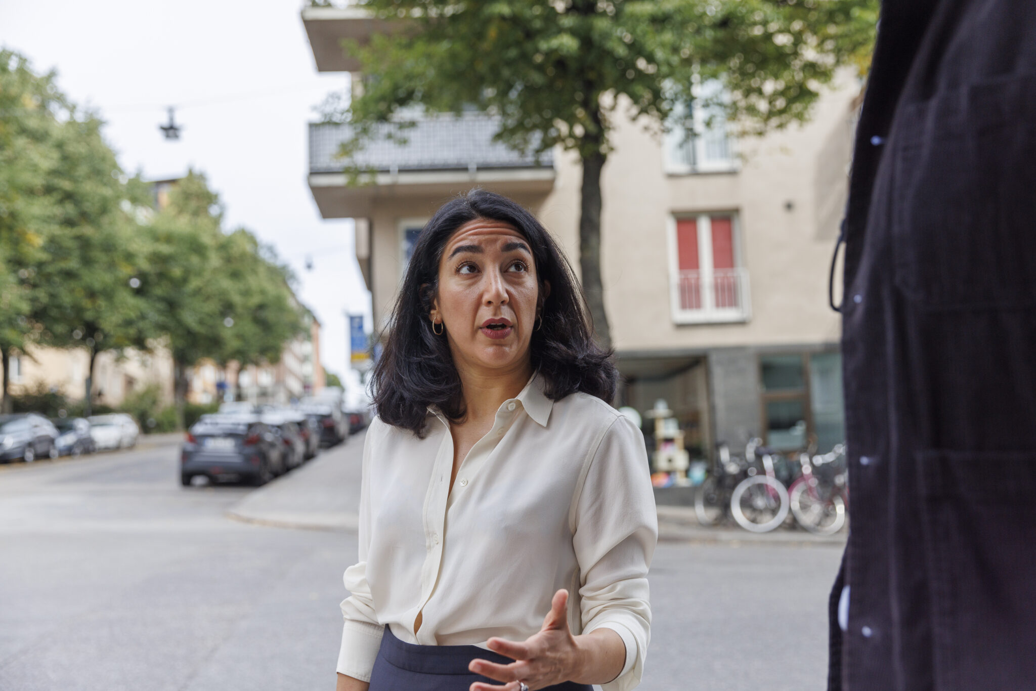Lawen Redar: "Det som hände i England kan hända här" - Fokus