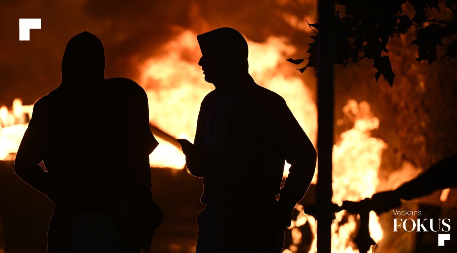 Dumpen.se – barnens hjältar eller internets lynchmobb? - Fokus