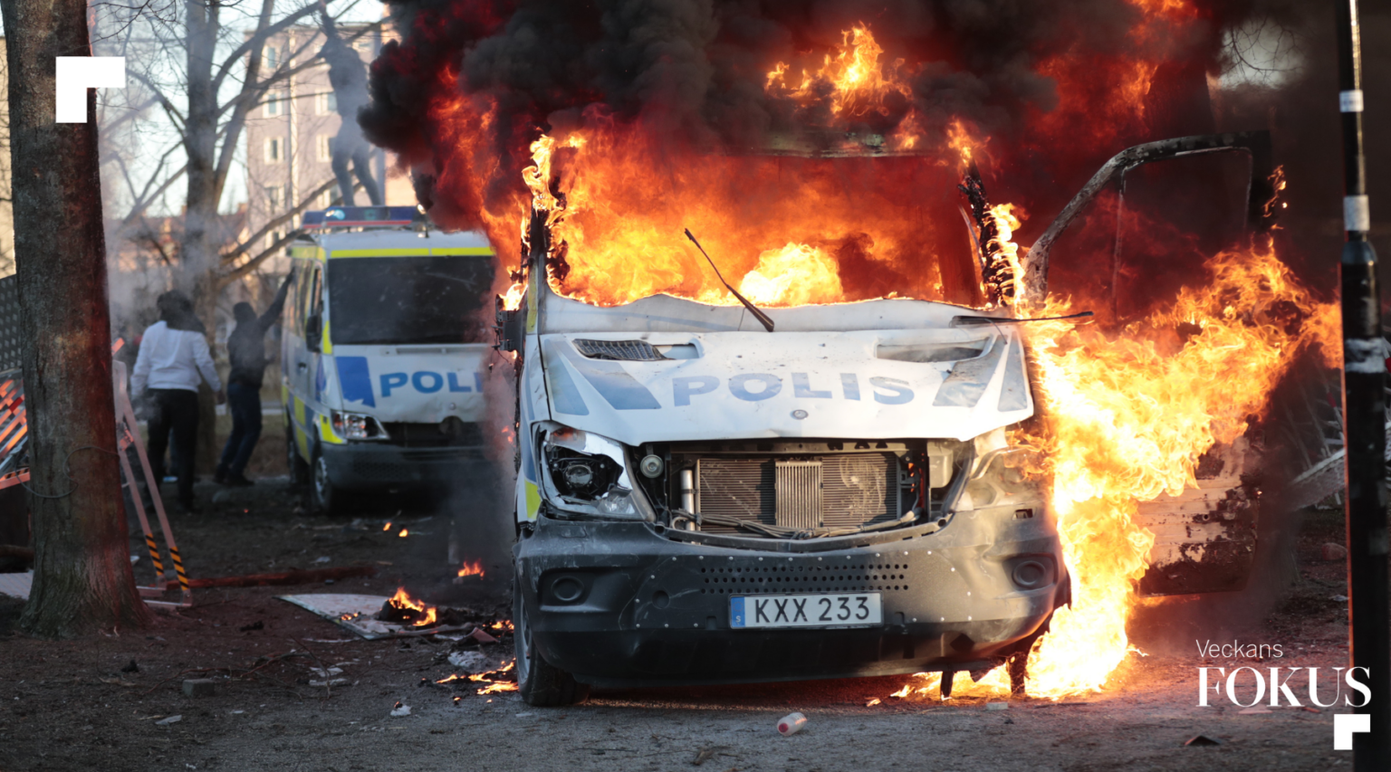 Dumpen.se – barnens hjältar eller internets lynchmobb? - Fokus