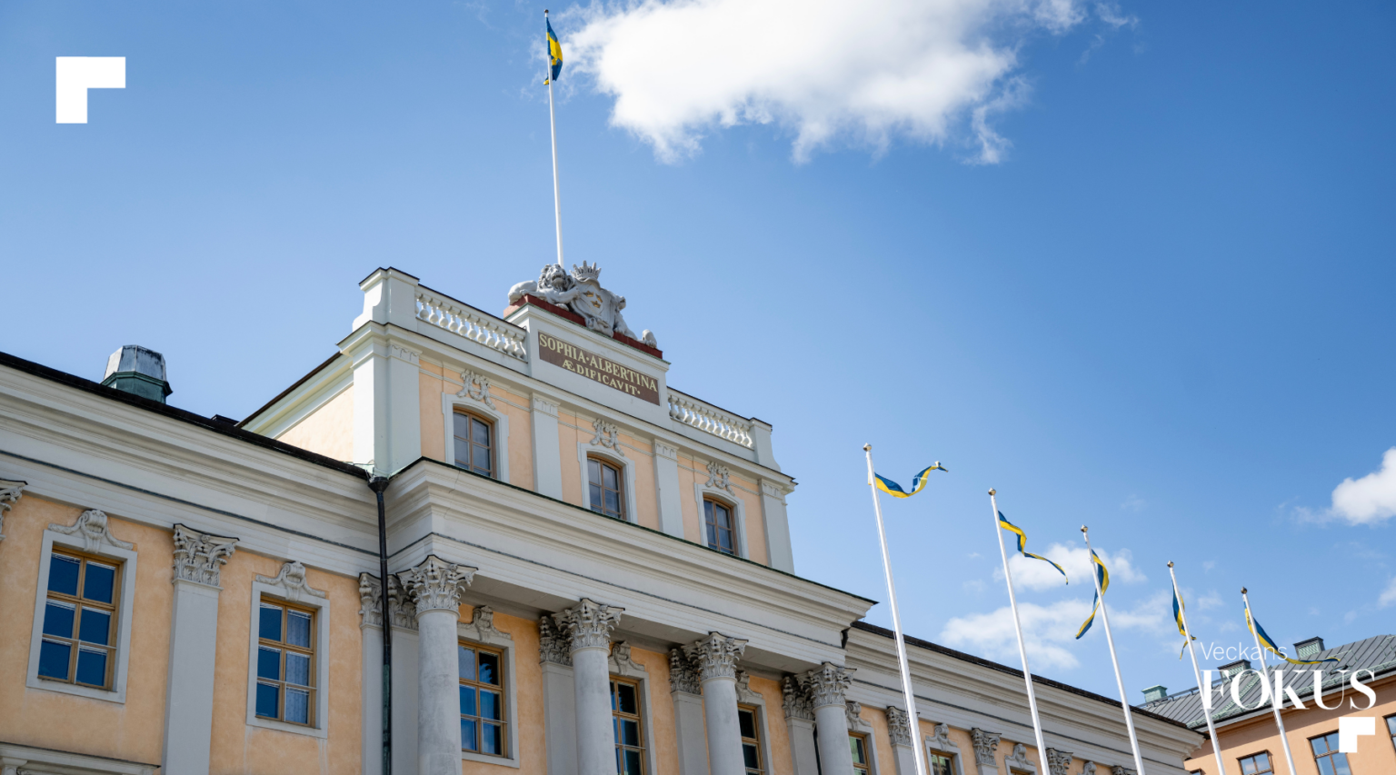 Dumpen.se – barnens hjältar eller internets lynchmobb? - Fokus