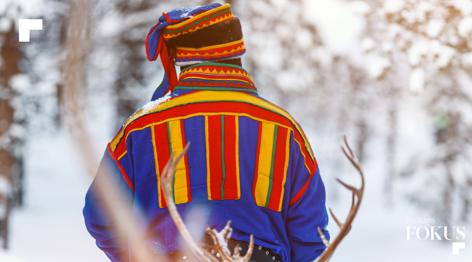 Dumpen.se – barnens hjältar eller internets lynchmobb? - Fokus