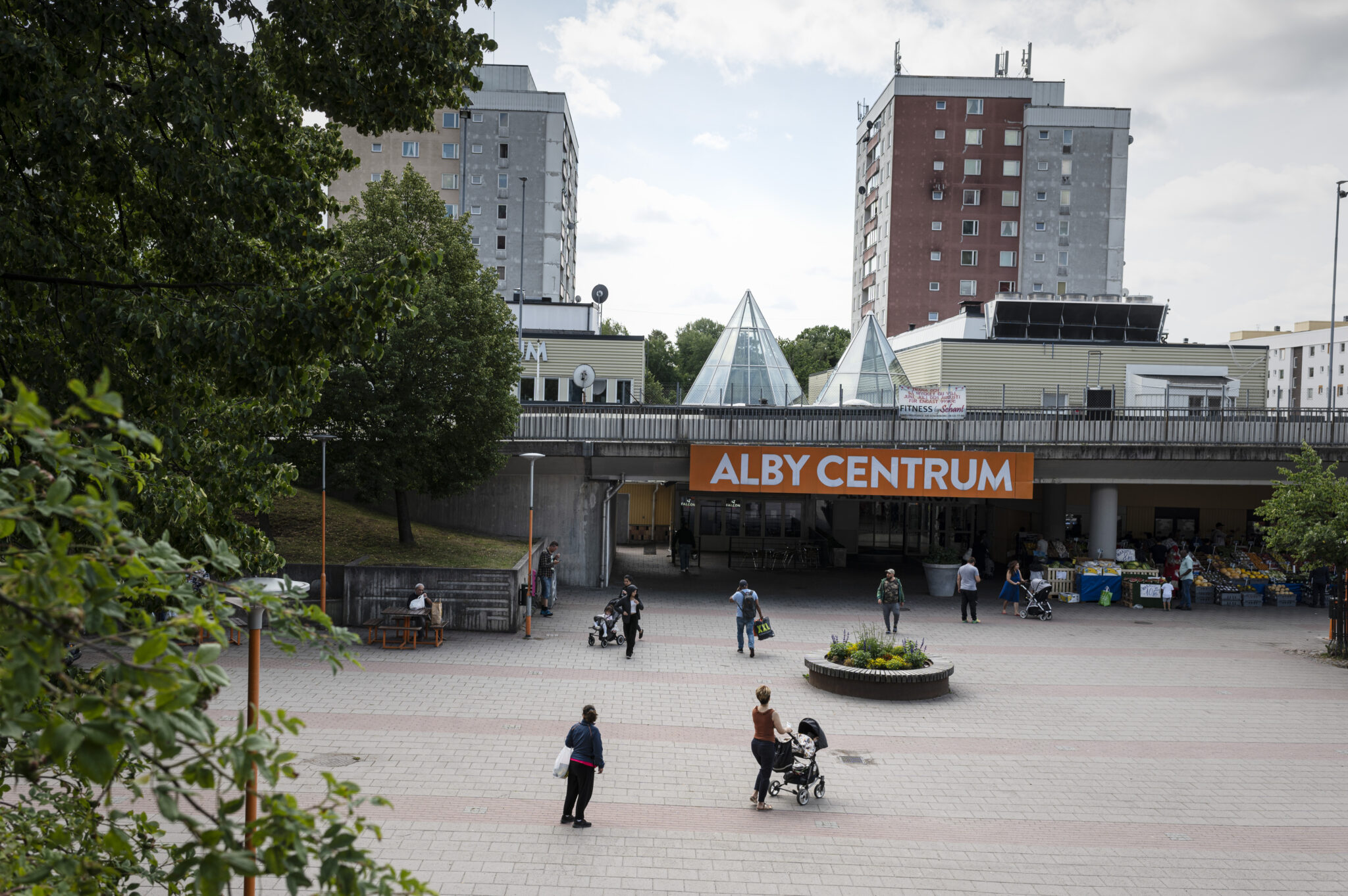 Vinterviken har blivit djupare, vidare och kallare - Fokus