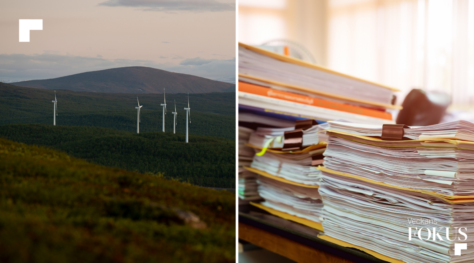 Dumpen.se – barnens hjältar eller internets lynchmobb? - Fokus