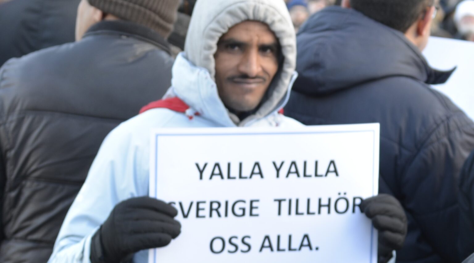 Daniel Schatz: Sverige finansierar hustrumisshandel - Fokus