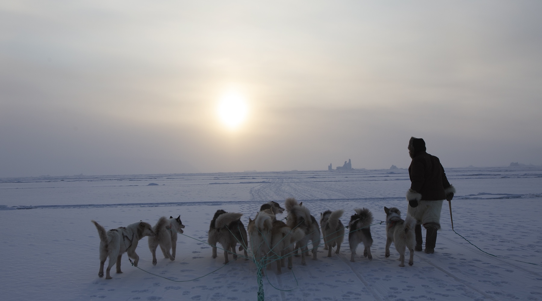 David Linden: Bråka inte med Siriuspatrullen! - Fokus