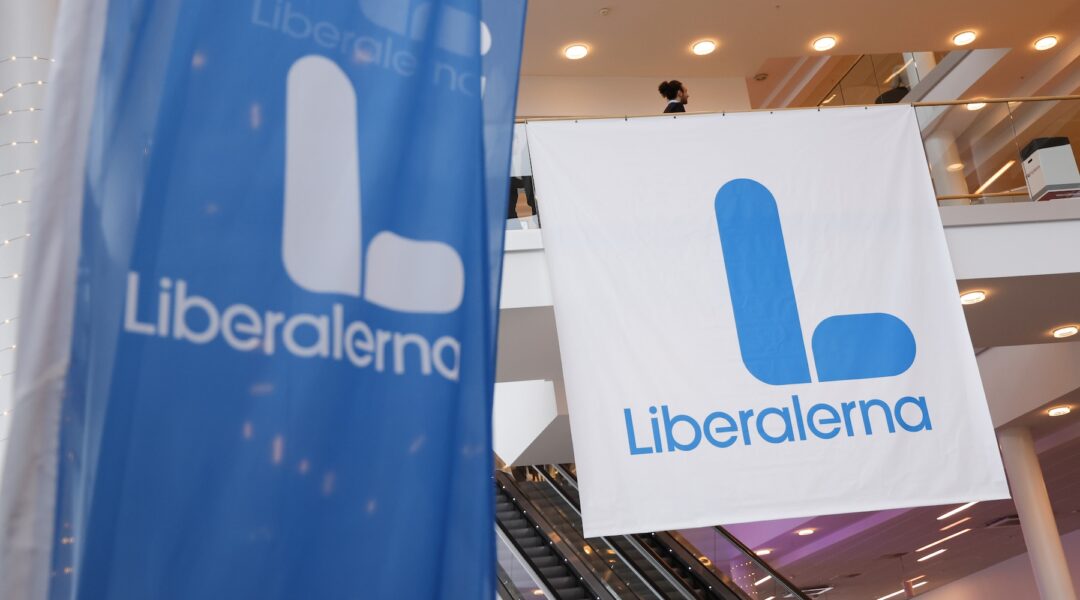 Johan Romin: Liberalernas strukturella huvudvärk - Fokus